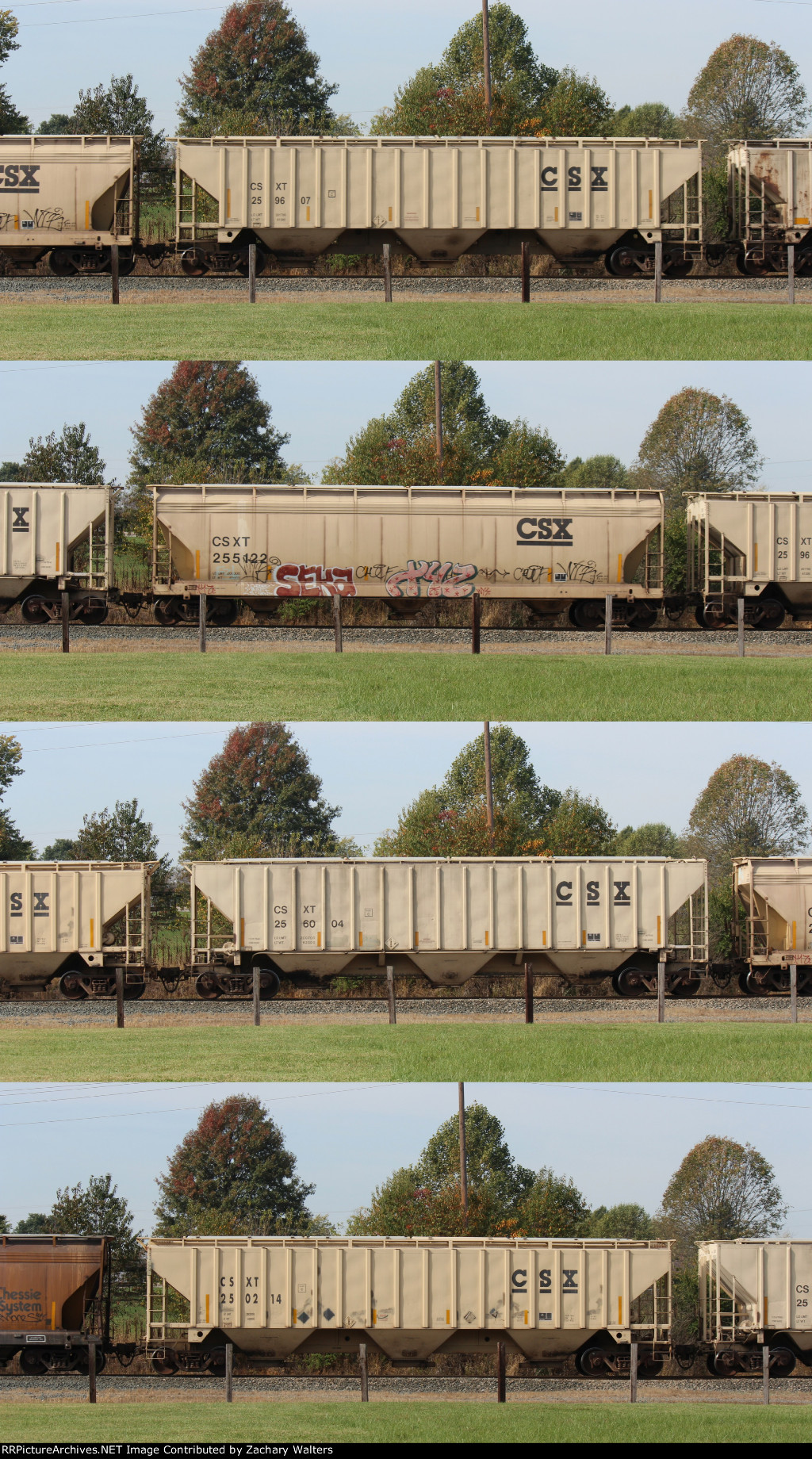 CSX Hoppers